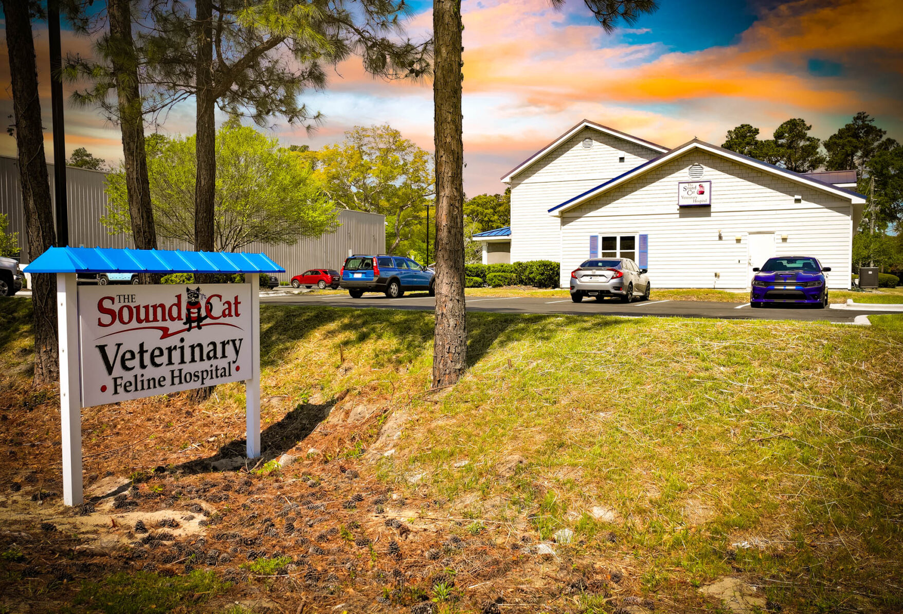 Value-Add Heartland Veterinary NN Medical Asset North Carolina