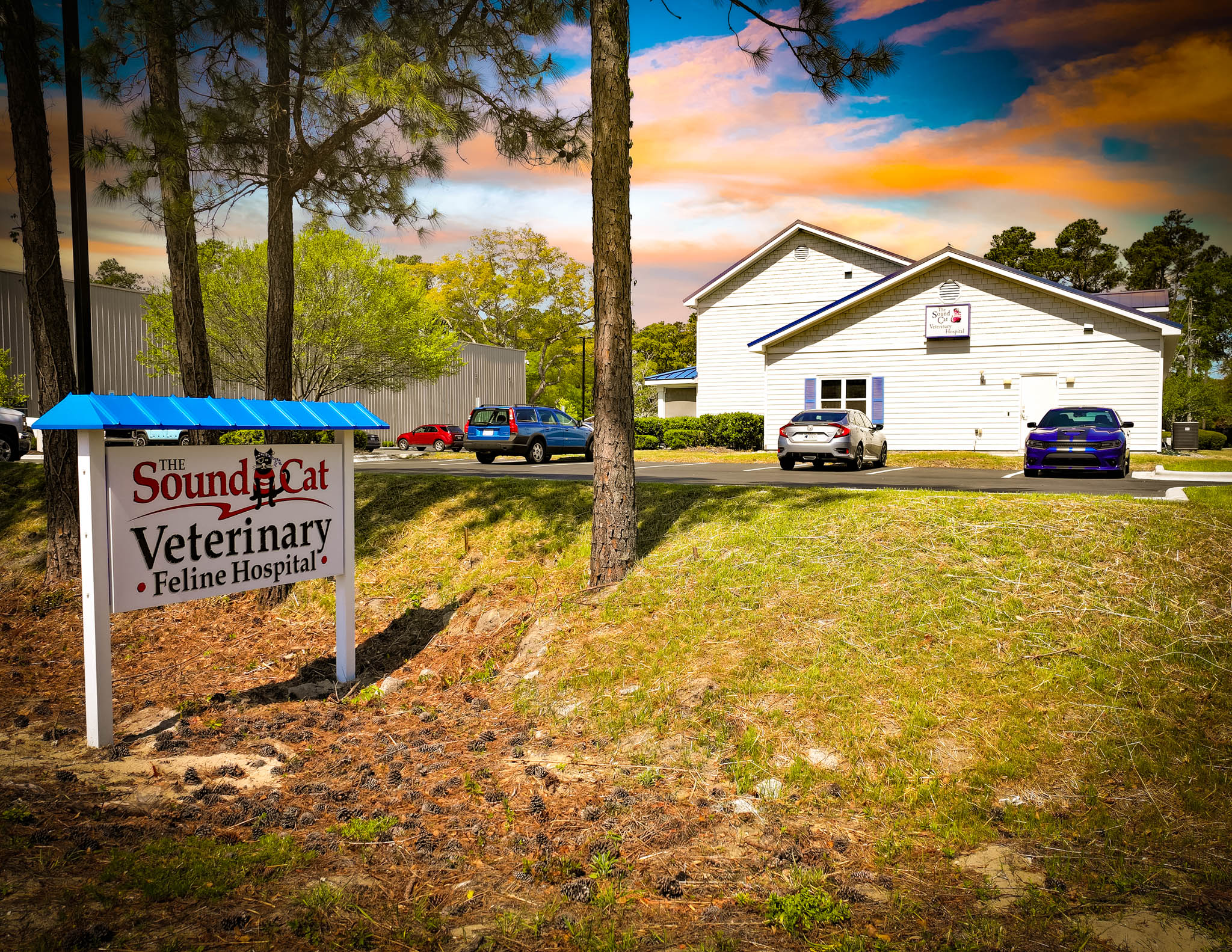 Value-Add Heartland Veterinary NN Medical Asset North Carolina